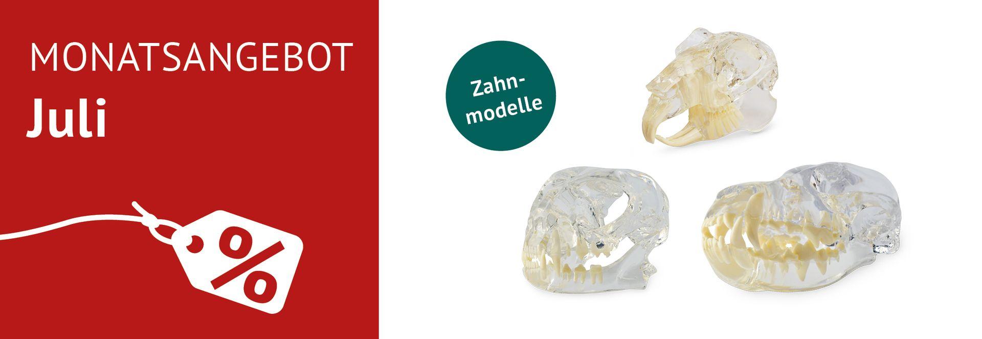 Home | Eickemeyer – Tierarztbedarf – Deutschland